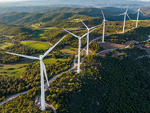 Vishay Custom Capabilities